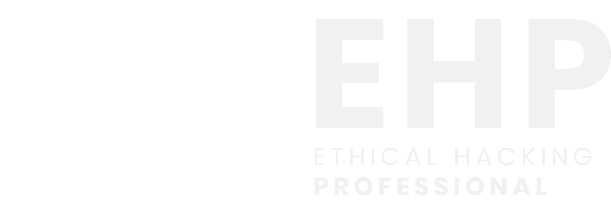 Ethical Hacking Professional - EHP - SoftSell