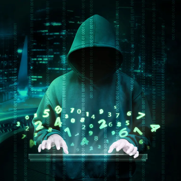 Ethical Hacking Professional - EHP - SoftSell